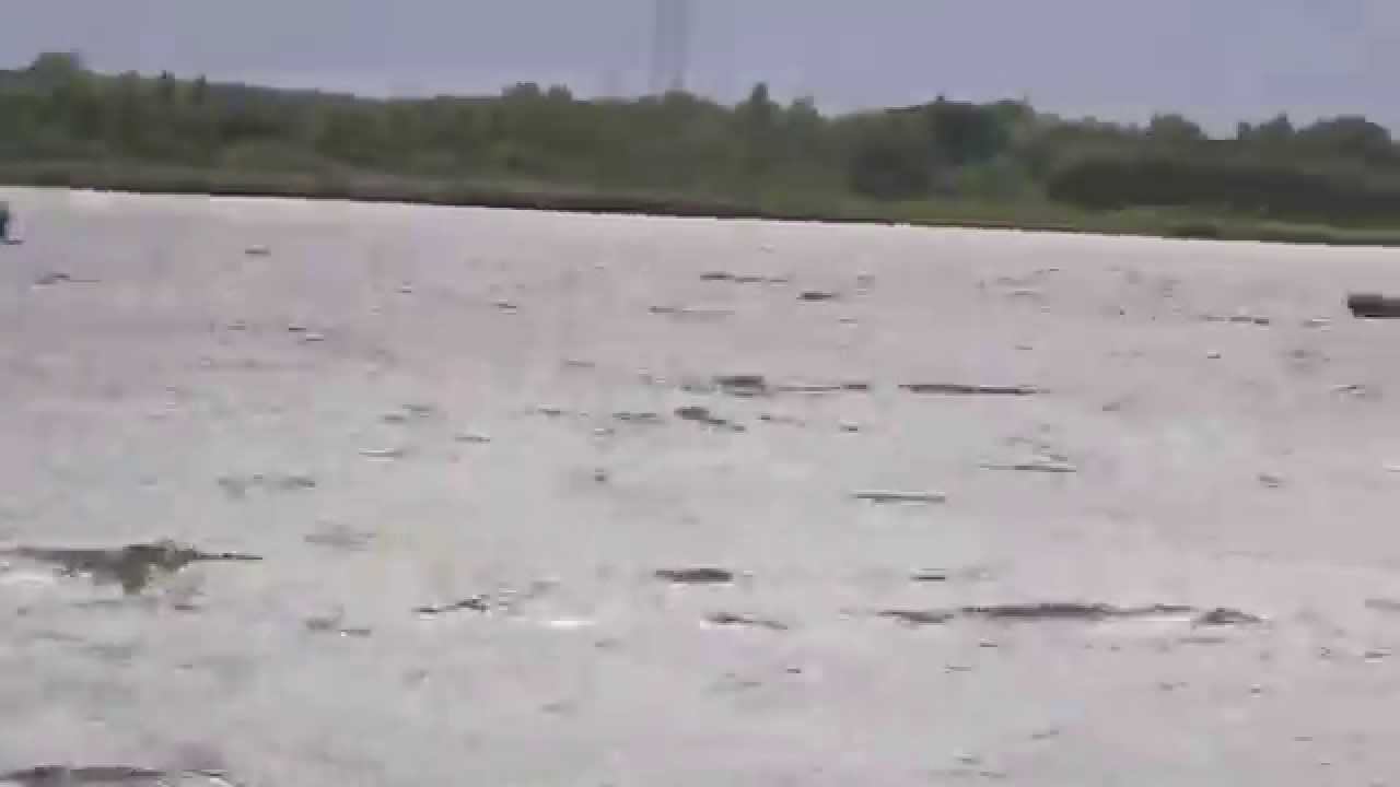 Шквал 1 смена 2015