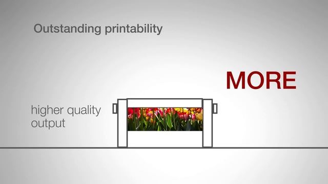 Самоклеящаяся литая ПВХ-пленка AVERY DENNISON серия MPI 1104 EA