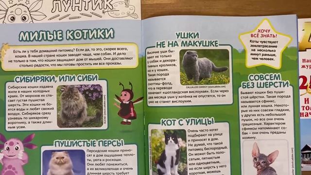 Анонс новых журналов для детей. Вып. 1 (12). Февраль 2021.mp4