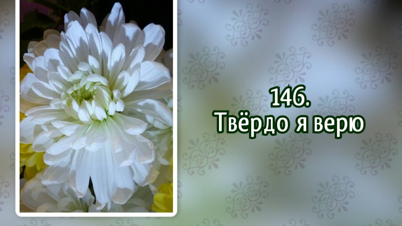 Гимны надежды 146 Твёрдо я верю (-)