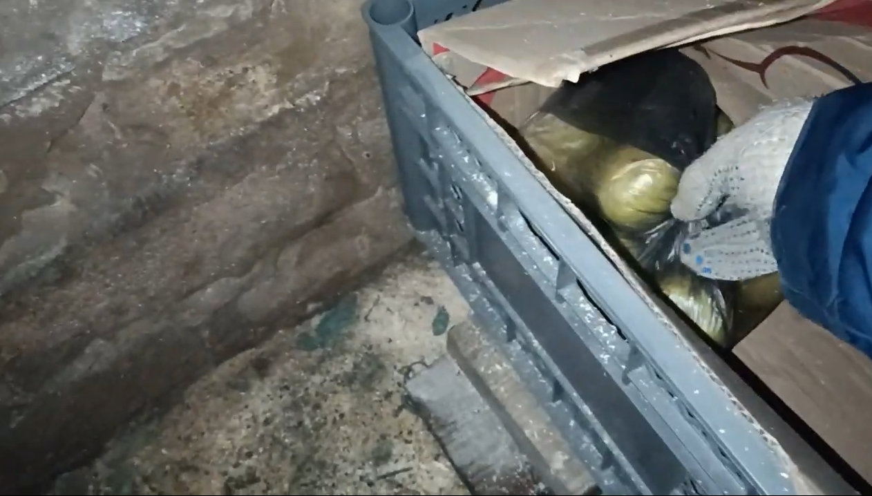 Что стало с яблоками через 5 месяцев в гаражной яме.