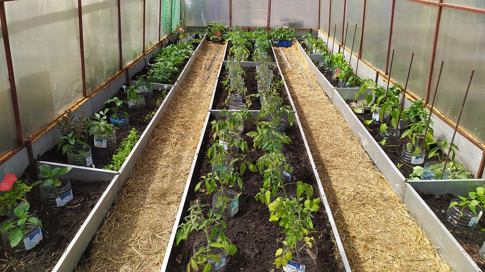 Моя теплица - май 2022 г..mp4