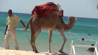 ТУНИС  SENTIDO Phenicia 4_ -   ПЛЯЖ