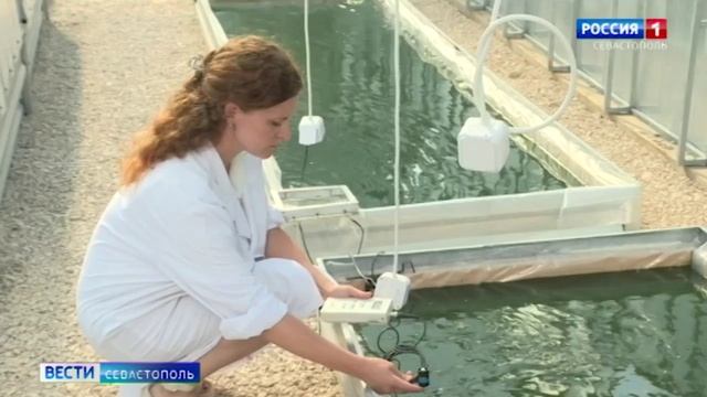 В Севастополе запустили экспериментальное производство микроводорослей
