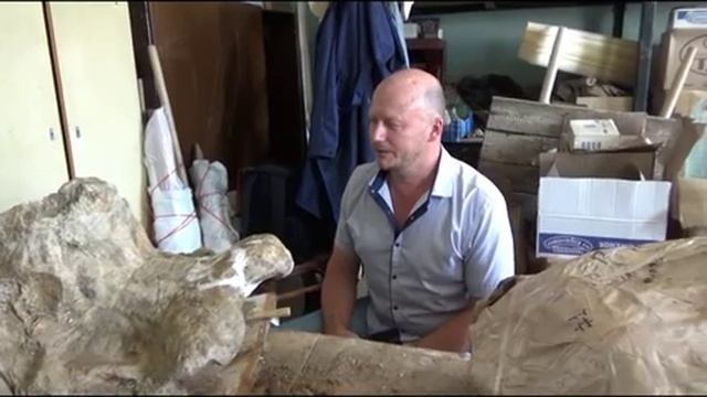 Череп кавказского эласмотерия в музейной лаборатории.mp4