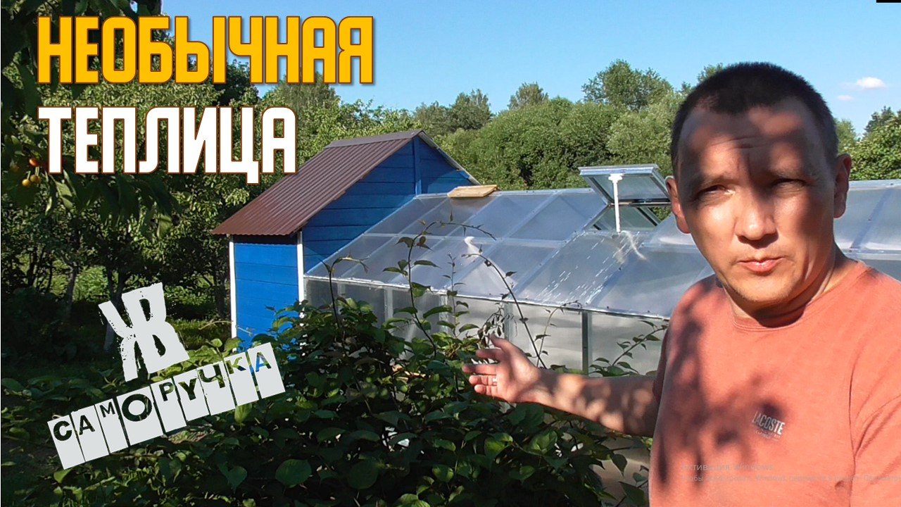 Теплица своими руками из направляющих для гипсокартона. ЖКВ Саморучка