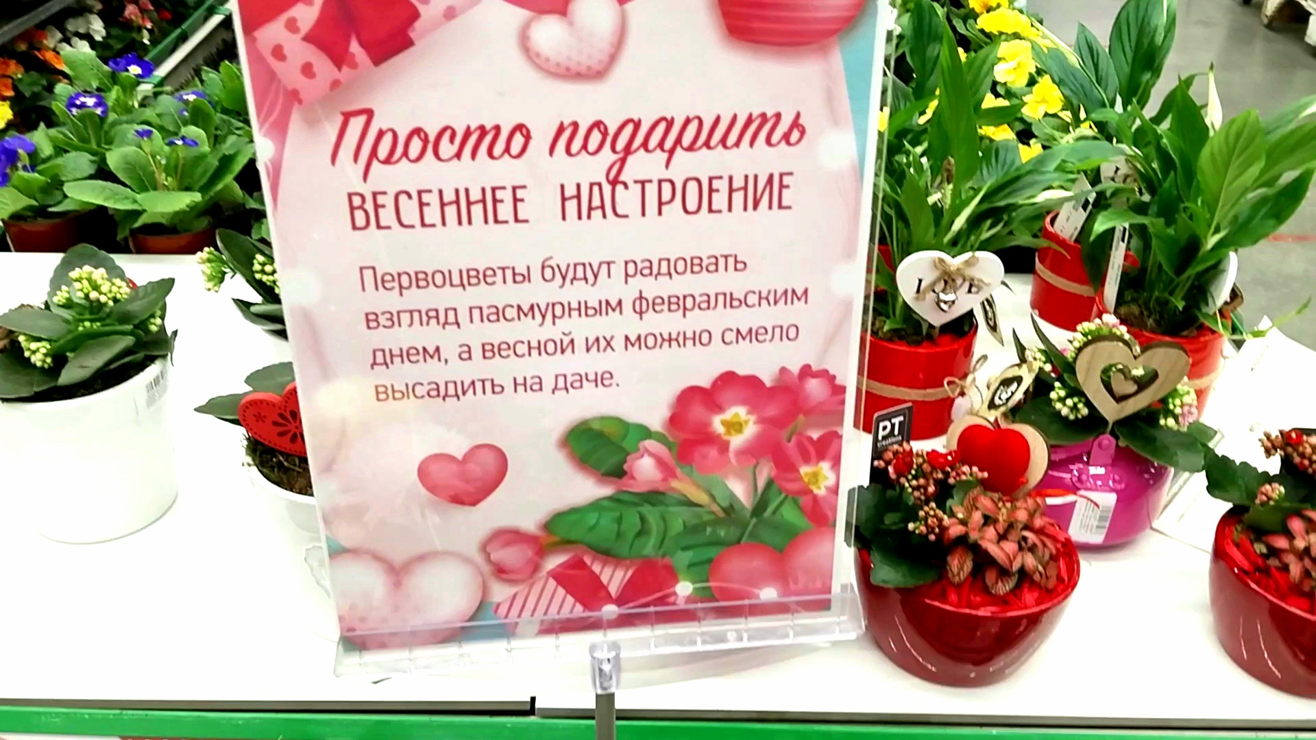 ❤?Бауцентр?Прогуляемся?Посмотрим На Цветочные Новинки⚘