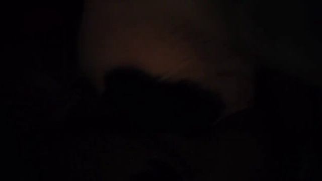 Нашел укромное место_ тут меня никто не потревожит!