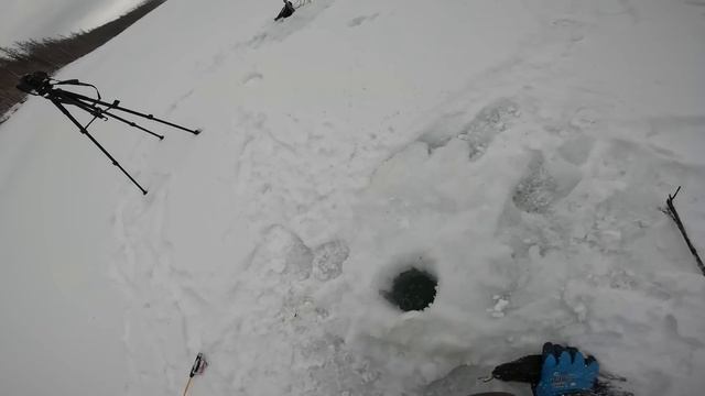 Закрытие снегоходного сезона. Лучшая рыбалка на хариуса за 15 лет рыболовного стажа. День первый