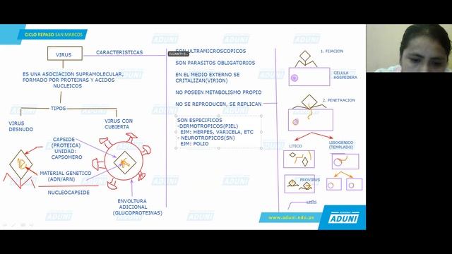 San Marcos REPASO 2021 | Semana 08 Biología Parte 02