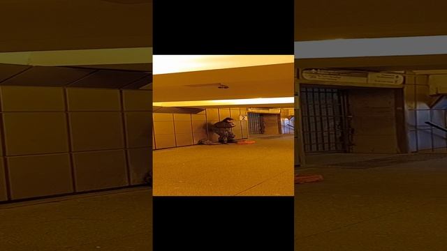 УЛИЧНЫЕ МУЗЫКАНТЫ МУЗЫКА НАС СВЯЗАЛА МУЗЫКАЛЬНЫЙ ПИТЕР ЭТО ПИТЕР ДЕТКА САНКТ-ПЕТЕРБУРГ