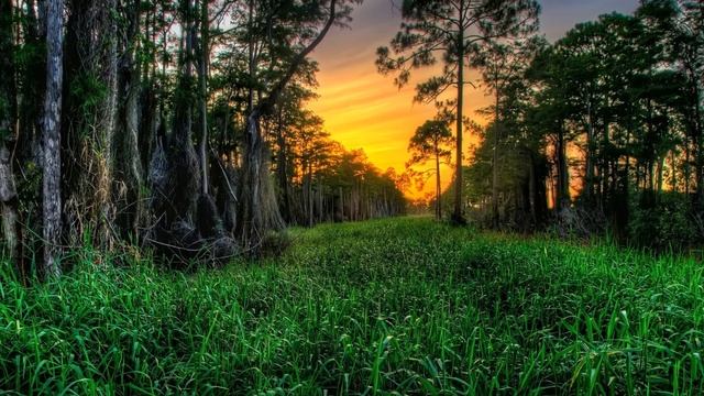 Ethereal. Amethystium