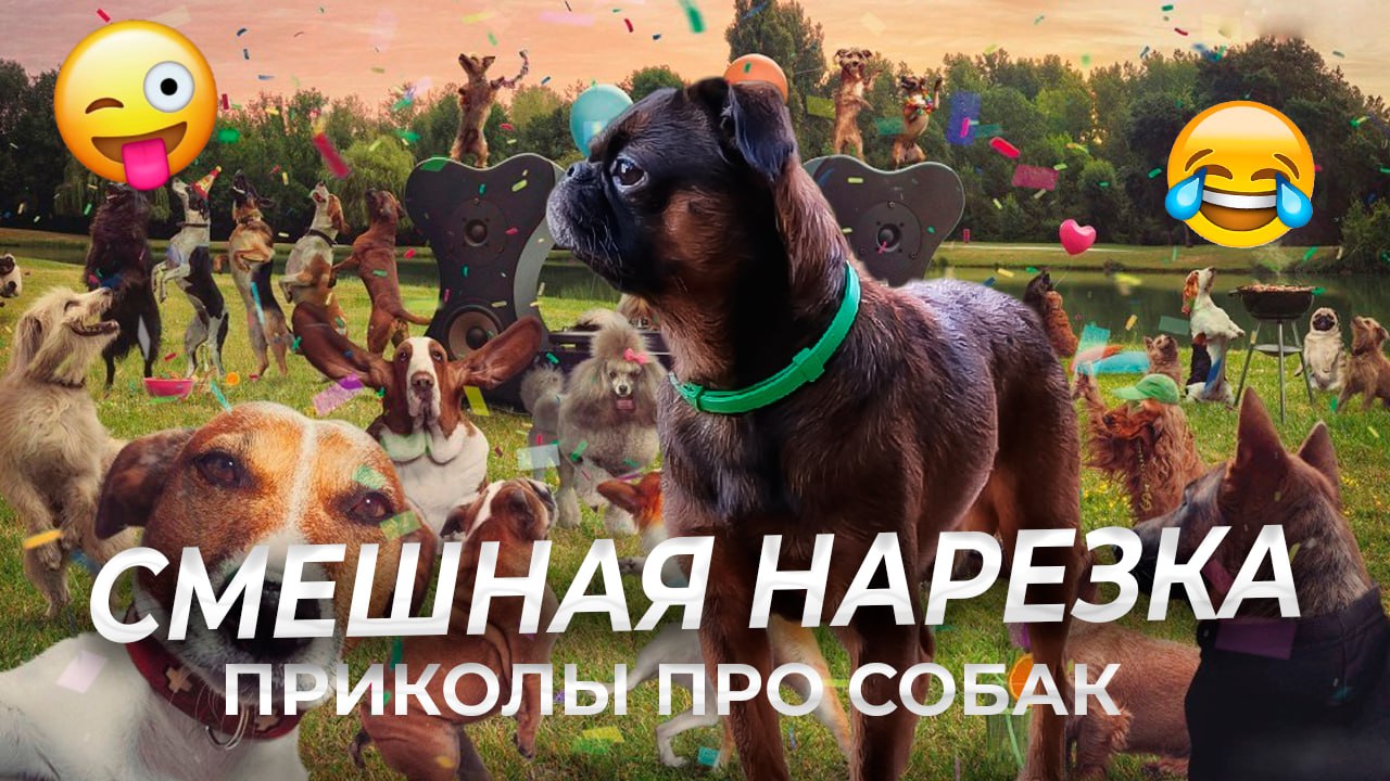 Короткие смешные видео