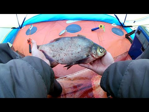 ЗИМНЯЯ РЫБАЛКА С НОЧЕВКОЙ В ПАЛАТКЕ НА ЛЕЩА 2022.|||ЯУЗСКОЕ ВОДОХРАНИЛИЩЕ-ПУДЫШИ|||