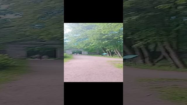 Гатчина , Гатчинский парк