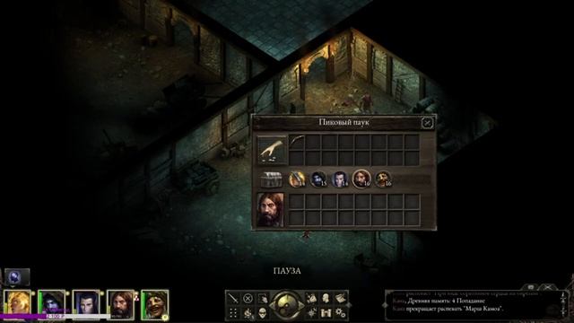 Pillars of Eternity: Проклятье Позолоченной долины, и прочие приключения