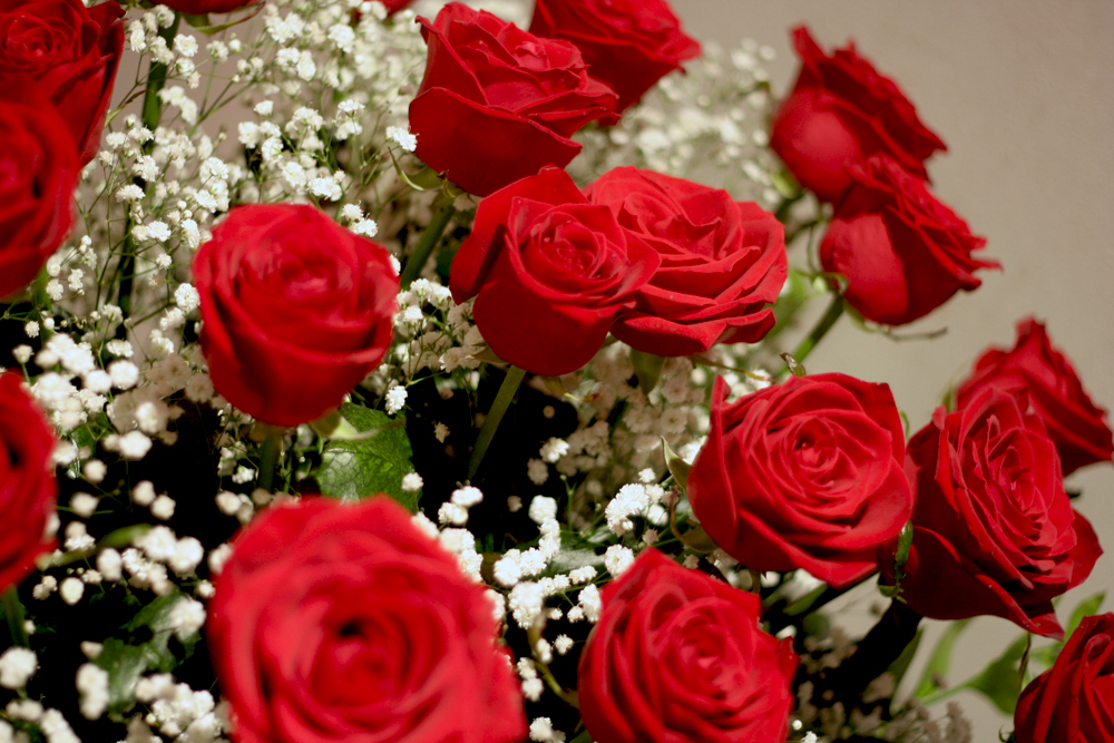 Милым Женщинам. Автор текста Эдуард Венц. Стихи о жизни.