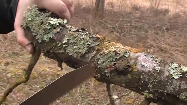 Пилы со сменными лезвиями и чехлом Citrus H-210, Plum H-210, Pear H-240