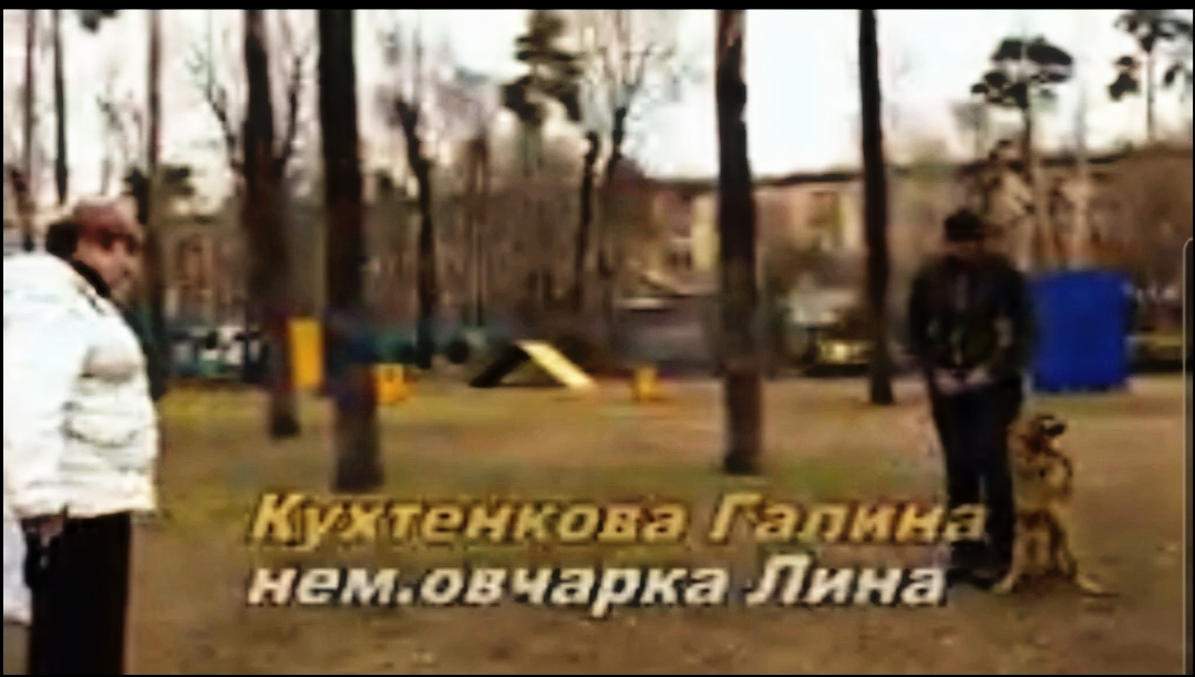 Испытания по ОКД
нем. овчарка Лина