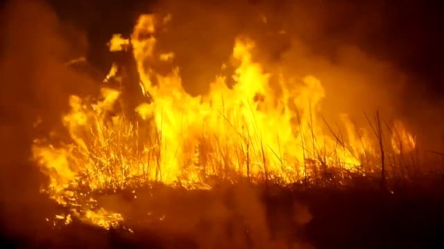 _Послушай, человек_ Группа _Круиз_ Матвея Аничкина..mp4