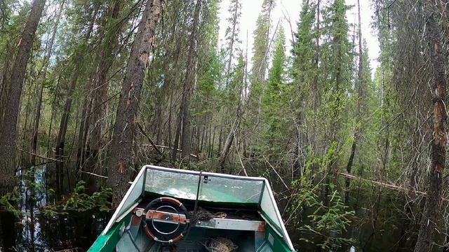 и снова я в лесу на лодке видеоклип 7