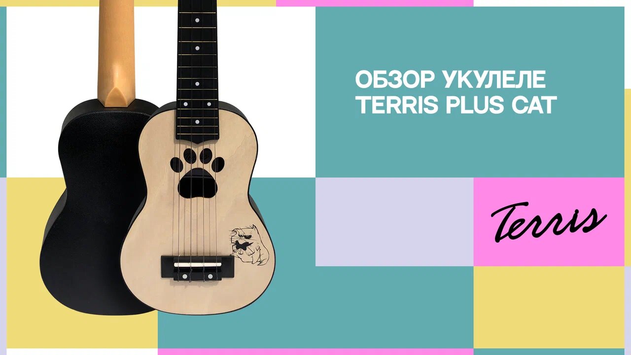 Обзор укулеле TERRIS PLUS CAT