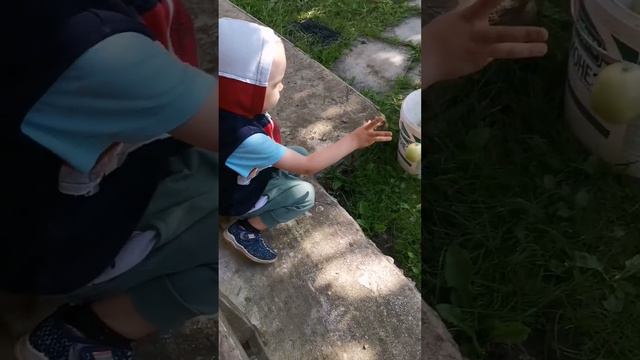 Эксплуатация детского труда в чистом виде