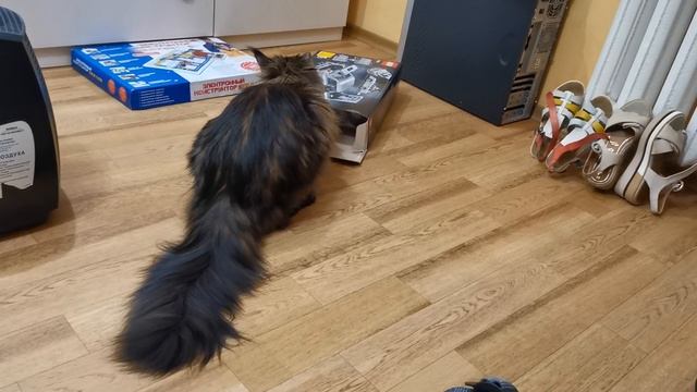 Дональд штурмует коробку