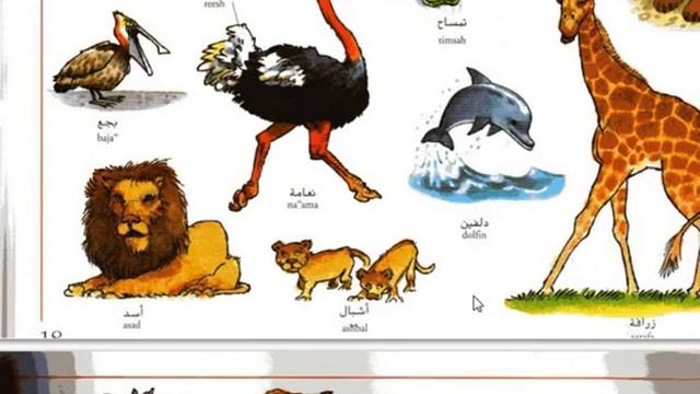 1000 слов на арабском языке # 7.