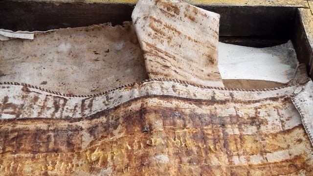 весенняя профилактика пчел от клеща Варроа.mp4