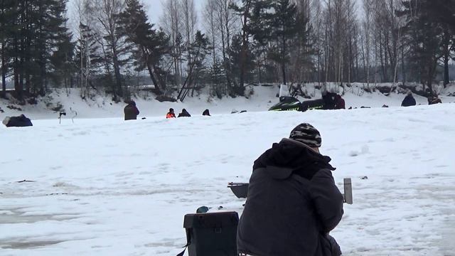 Шикарная рыбалка на плотву.#fishing , #рыбалка, #bushcraft.