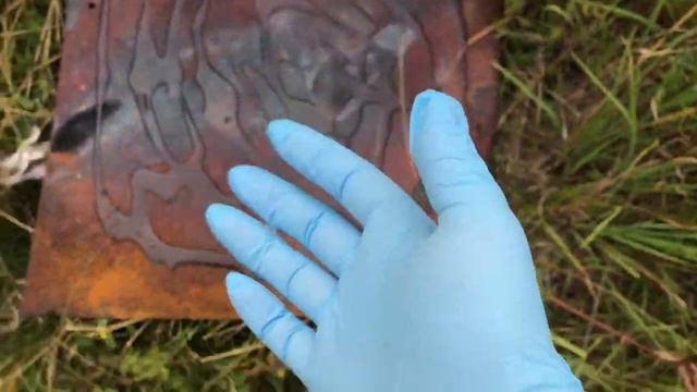 Как избавиться от крыс и мышей