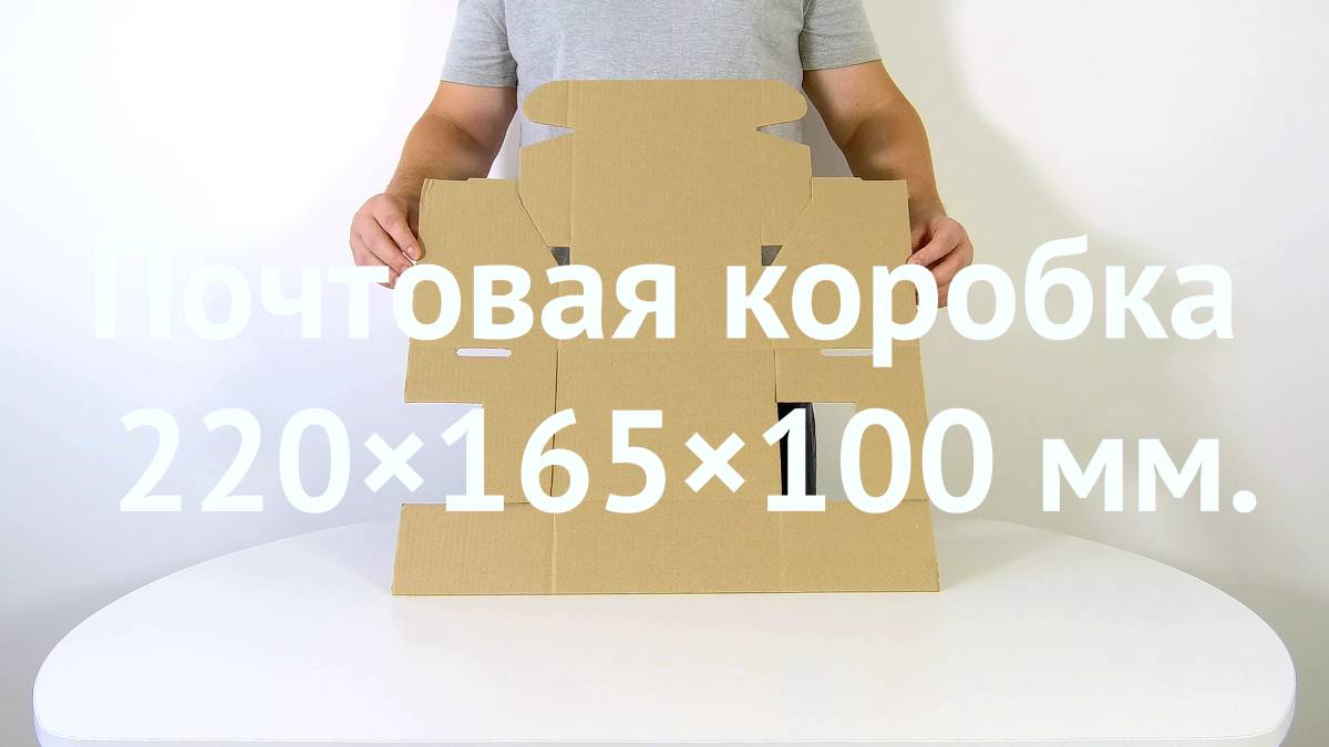 Почтовая коробка 220×165×100