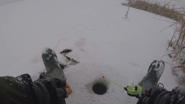 Корыто ротана на простую снасть.