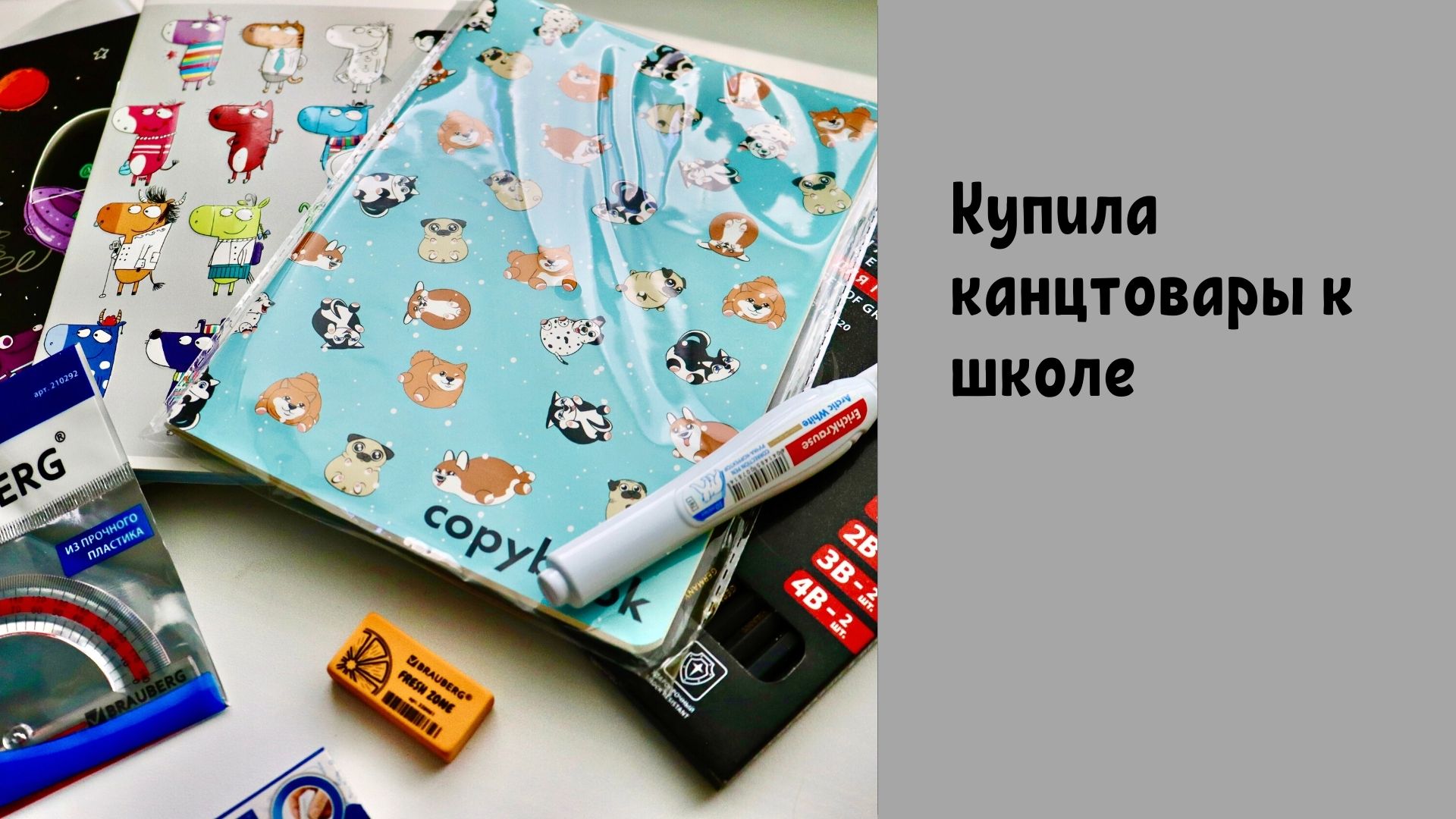 Купила классные канцтовары! Готовлюсь к школе