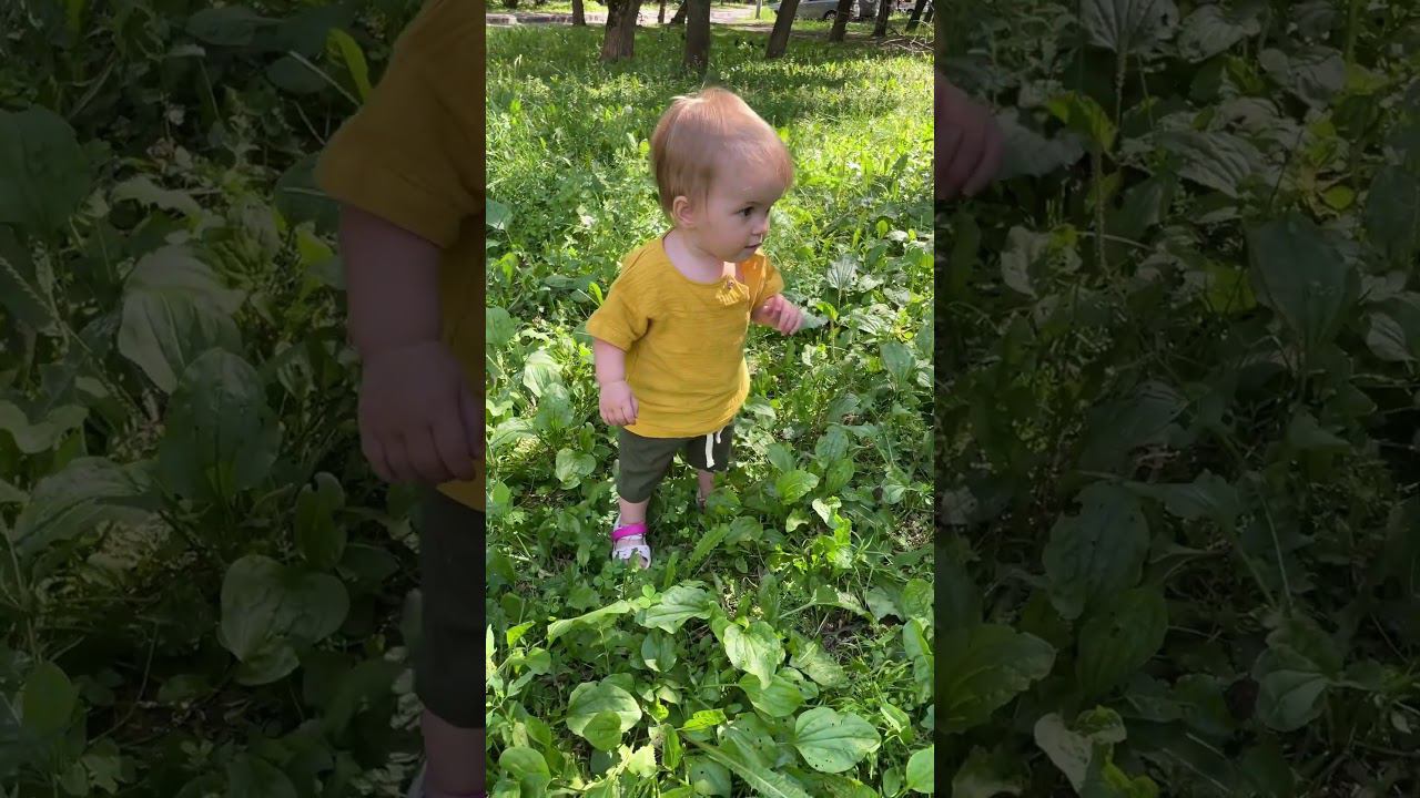 Первое малышковое лето звездных достижений #asasha #первыйгод #первыешаги #лето #shortsclip