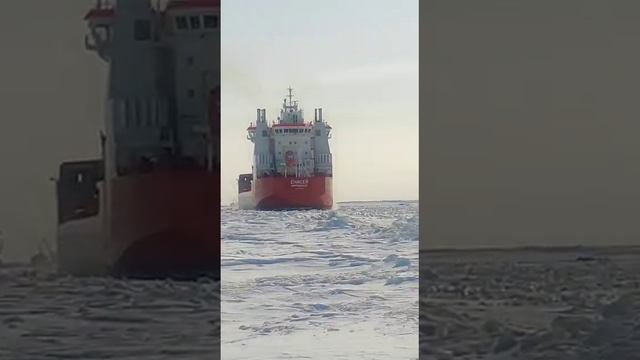 Безсмертный рыбак.