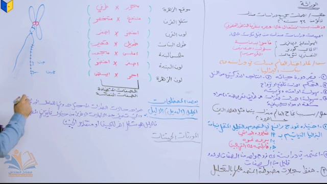 المحاضرة : 2 (العالم مندل) الفصل الخامس