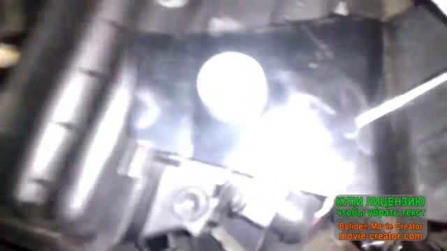 пыжик 1 выпуск