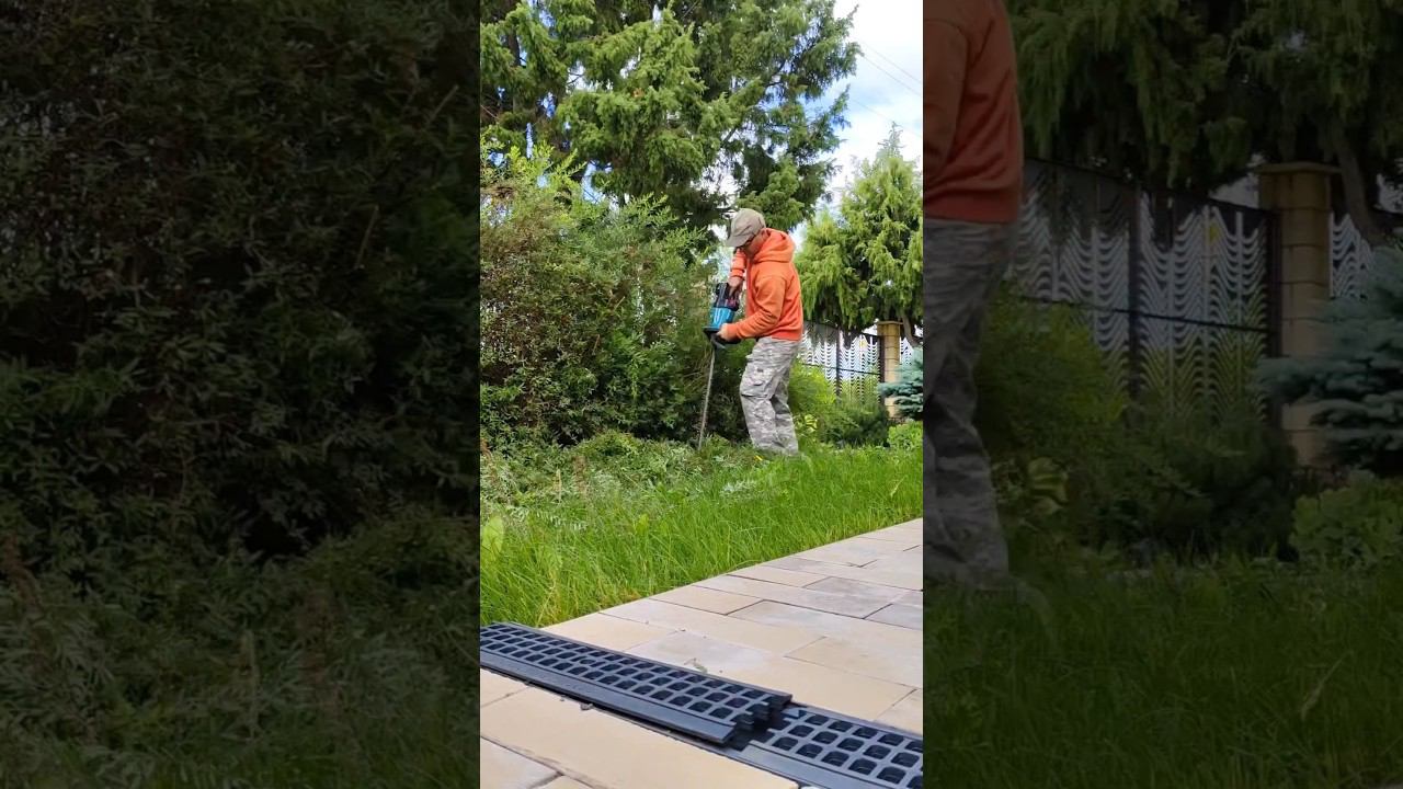 Стрижка спиреи грефшейм, нельзя запускать #спирея #топиарий #тольятти #ландшафт #дача #сад #лето