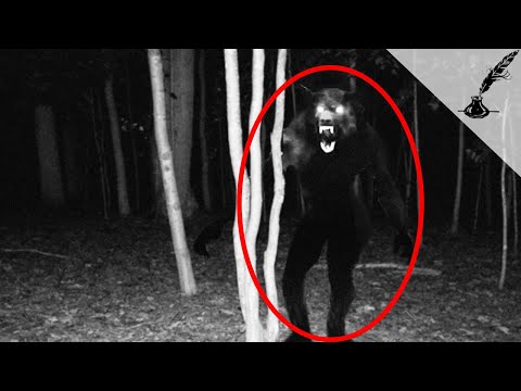5 Darkest Cases of Real Werewolves in History