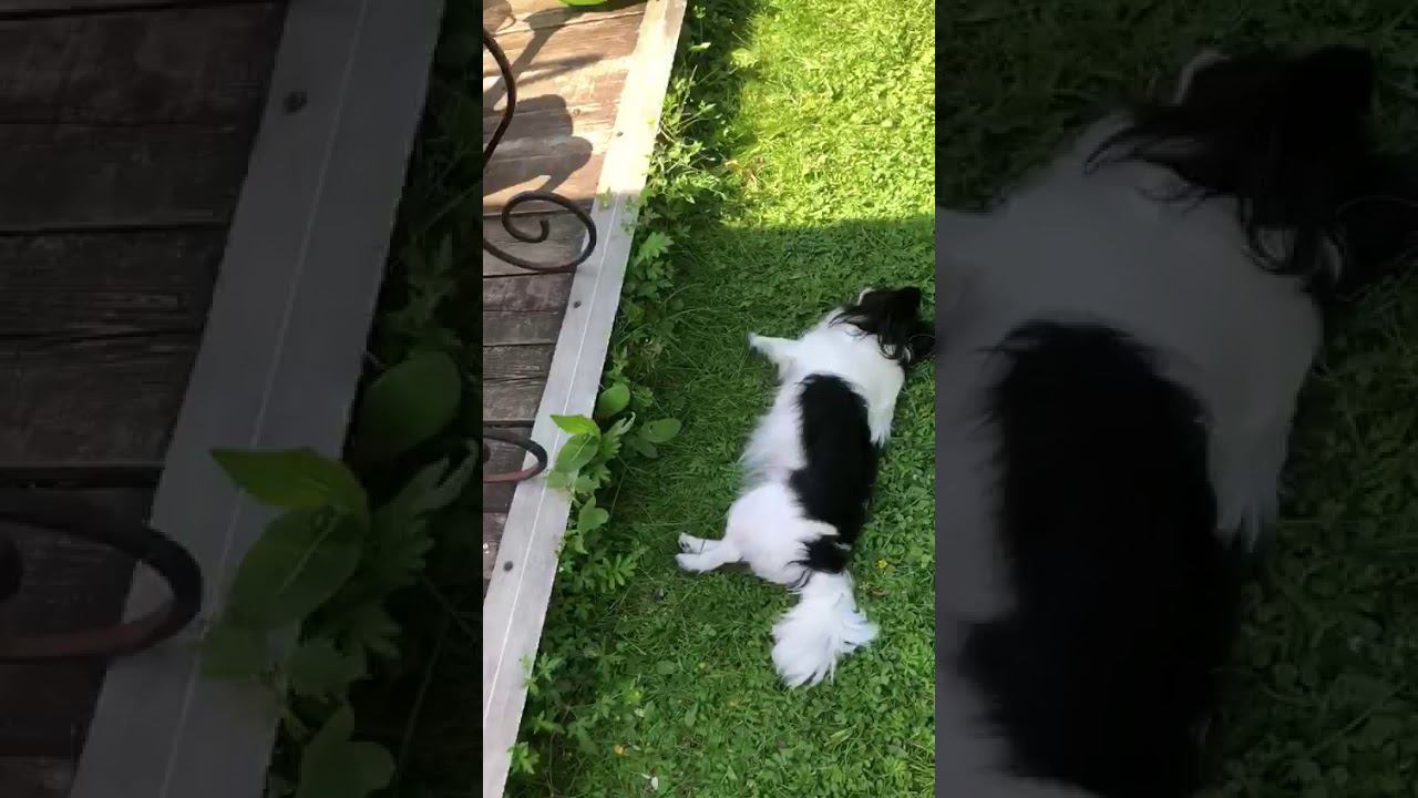 Строгий воспитатель