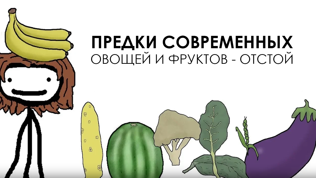 Предки современных овощей и фруктов — отстой - Академия Сэма Онеллы (Озвучка Rumble)