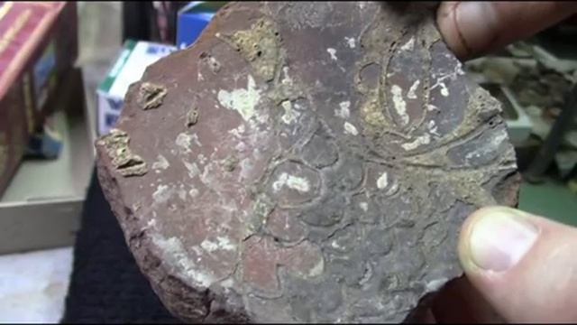 Абстрактная птичка на поливной чаше из Азака