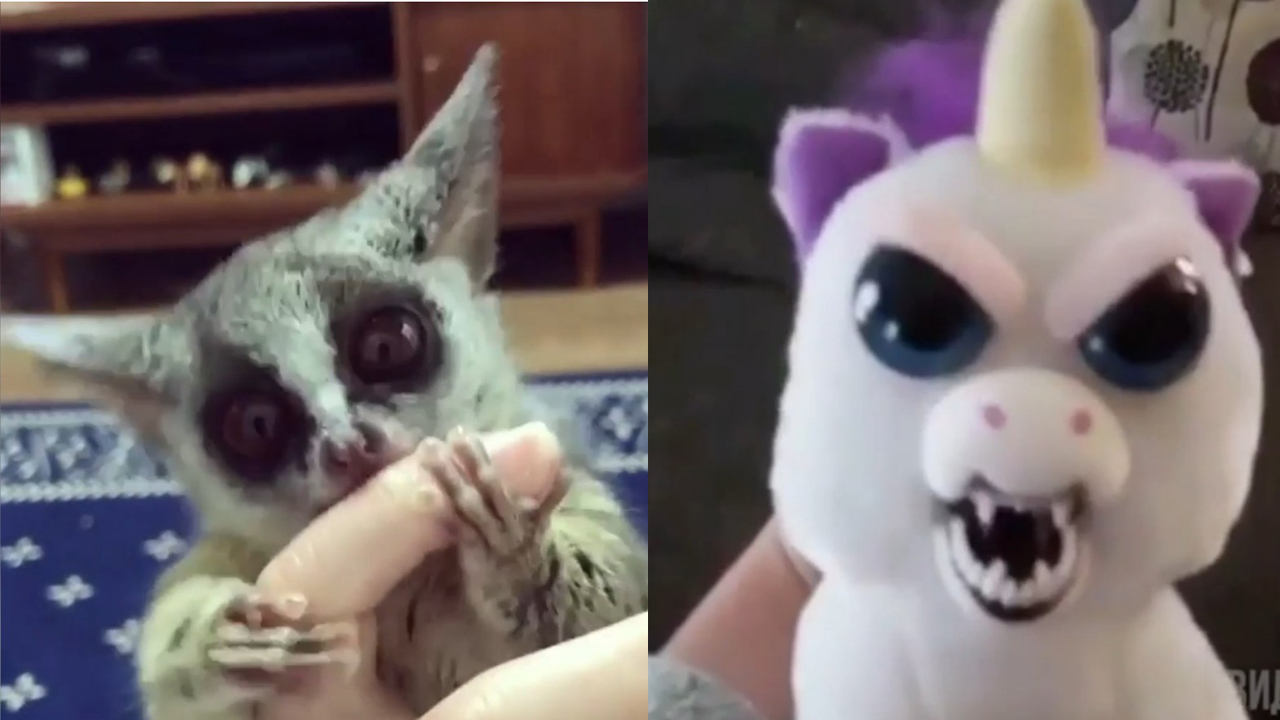 Смешные приколов из интернета за май 2021