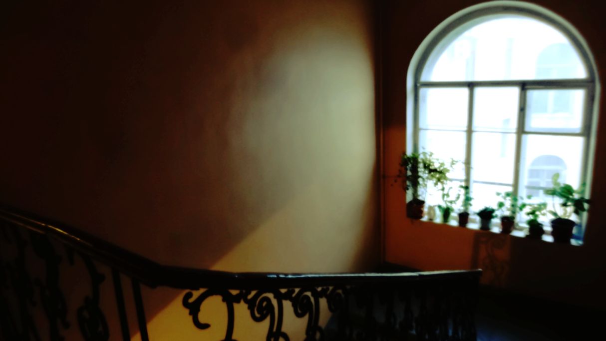 Где в Санкт-Петербурге Гоголь сжег поэму «Ганц Кюхельгартен». Набережная Канала Грибоедова, 79.