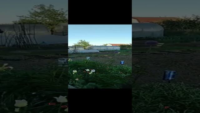 ЗОНЫ ПОСАДКИ ????