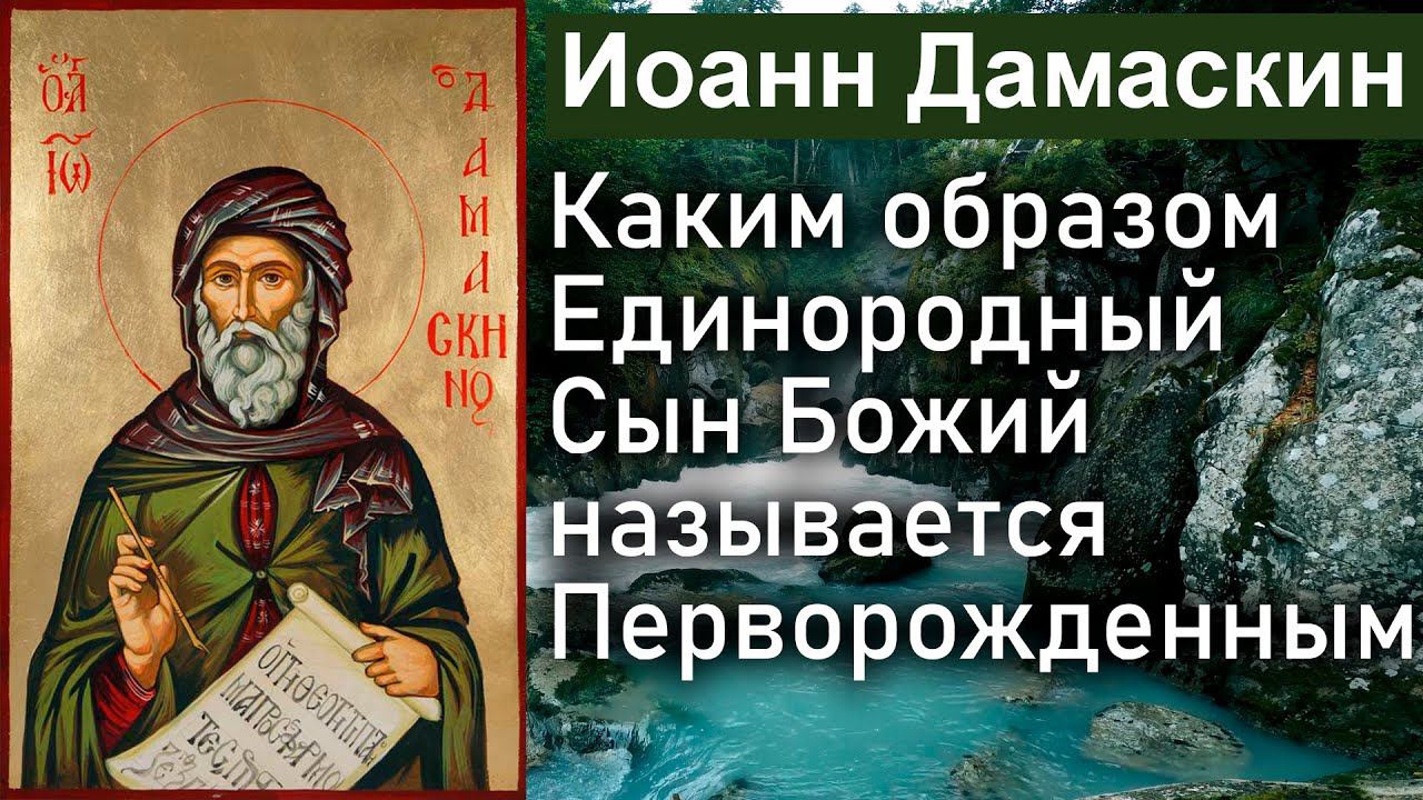 Каким образом Единородный Сын Божий называется Перворожденным / Иоанн Дамаскин