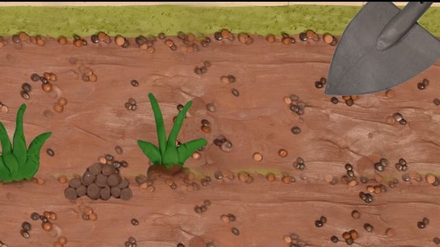 ЖИЛ-БЫЛ ДОМ