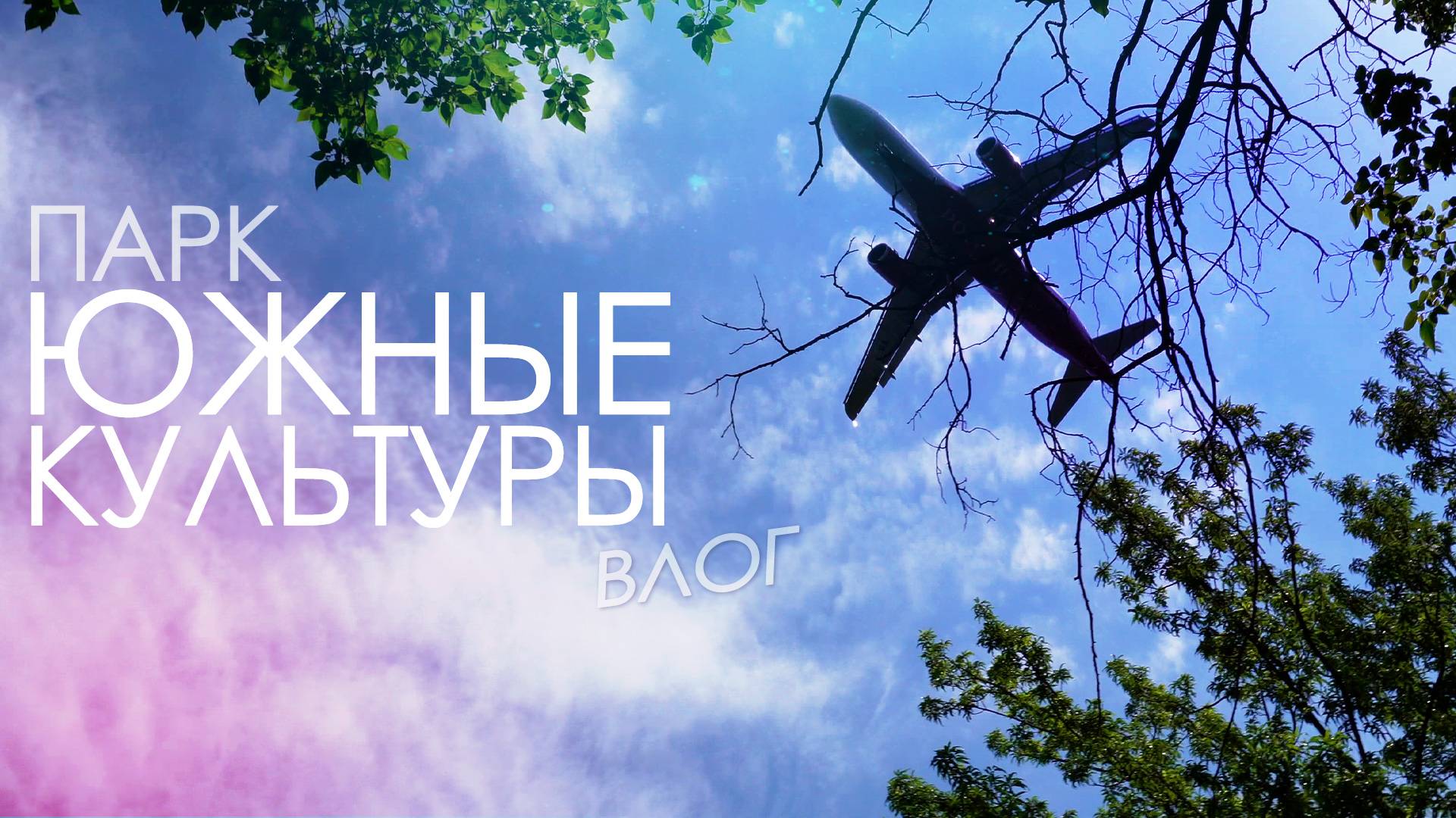 Парк ЮЖНЫЕ КУЛЬТУРЫ в мае. Адлер | Сочи2024 | 4K Walking VLOG